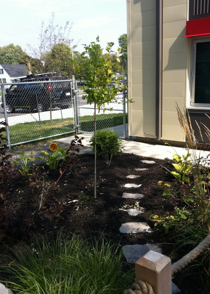 Nature Inspired Play - Traditional - Landscape - Toronto - by ...