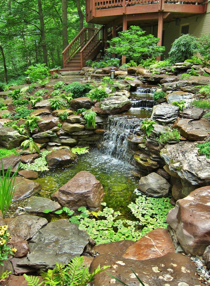Nature Preserve Backyard Sanctuary - Eclectic - Landscape - DC Metro ...