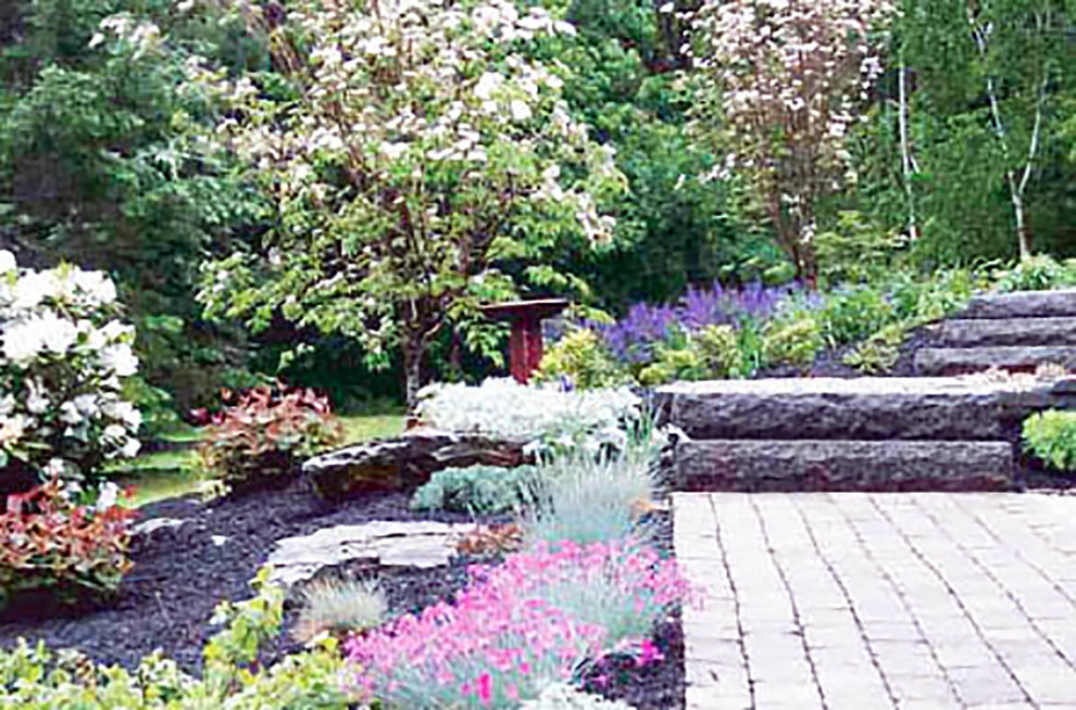 New Entry Steps and Garden - Traditional - Landscape - Boston - by ...