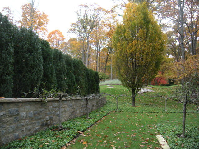 New Estate - Greenwich, CT - Classique - Jardin - New York - par George ...