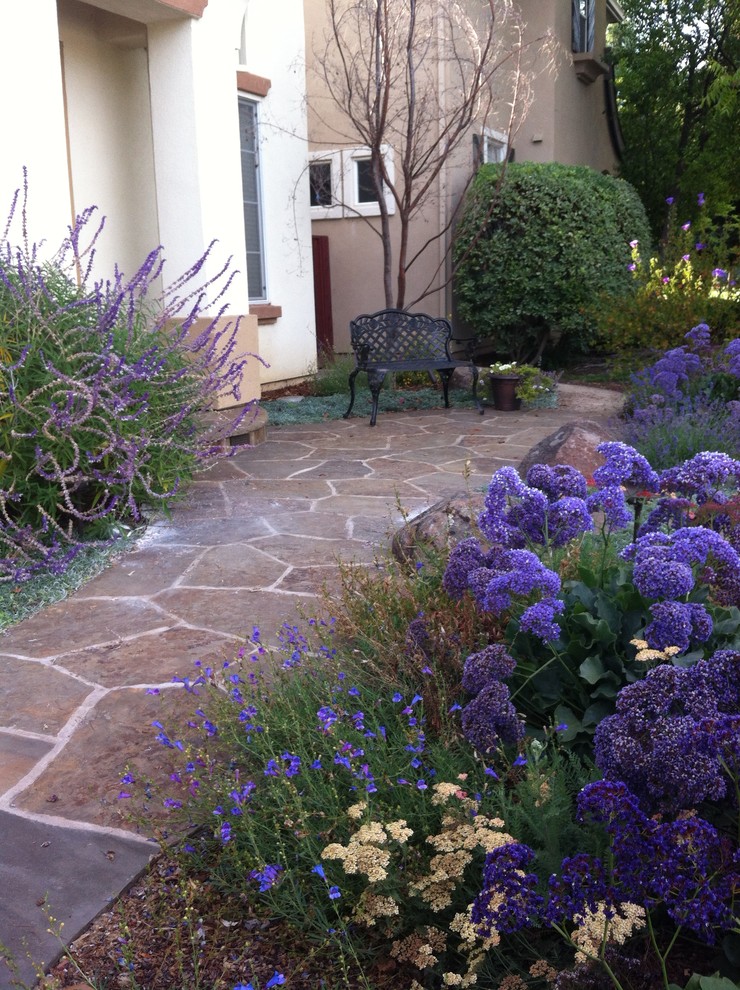 New Front Yard - Traditional - Landscape - San Francisco - by KL ...