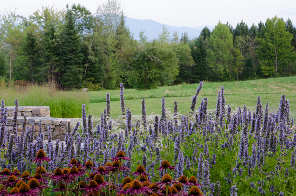 New Hampshire Escape - Traditional - Landscape - Manchester - by ...