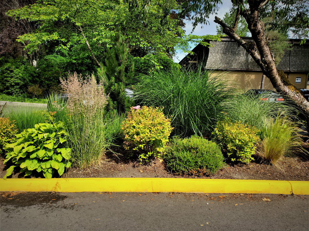 NEW LANDSCAPE DESIGN - Traditional - Landscape - Seattle - by Veth's ...