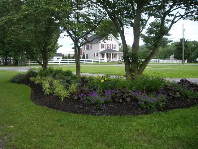 New Landscape - Landscape - Philadelphia - by Johnsons Landscaping LLC ...