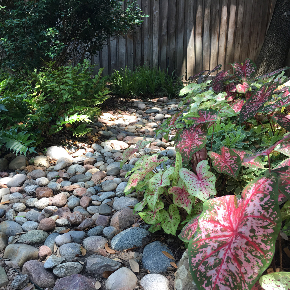 New Low-Maintenance Landscape with Flagstone Patio - Jardin - Dallas ...