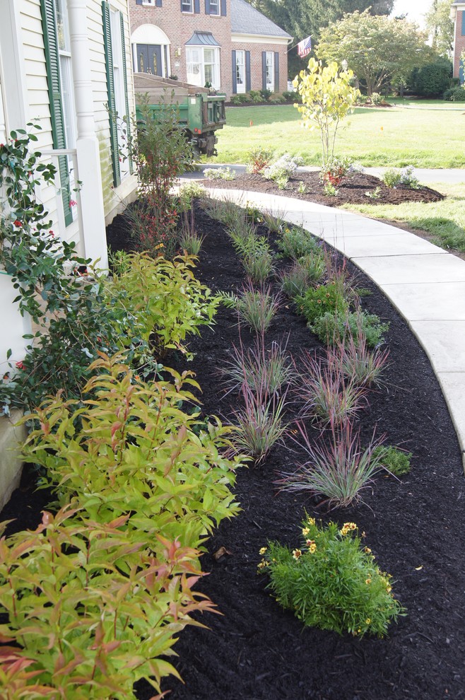 Newly Planted Native Landscape - Traditional - Landscape - Philadelphia ...