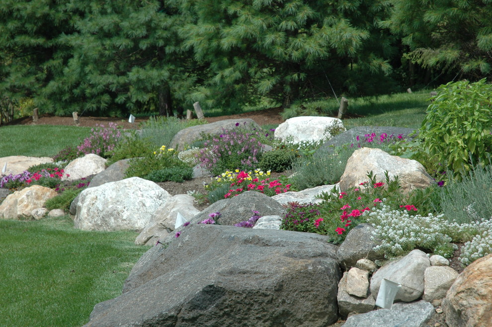 Newly planted white pines and rock garden - Landscape - New York - by ...