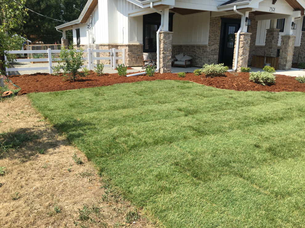 NILES 2020 - Traditional - Landscape - Denver - by Glacier View ...