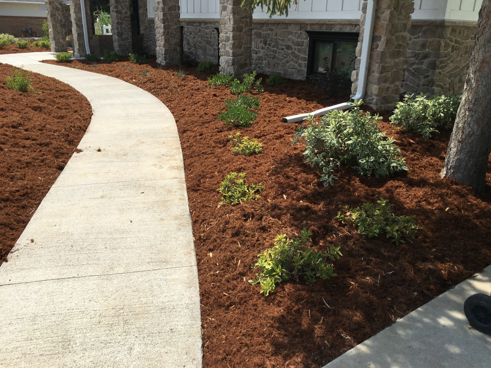 NILES 2020 - Traditional - Landscape - Denver - by Glacier View ...