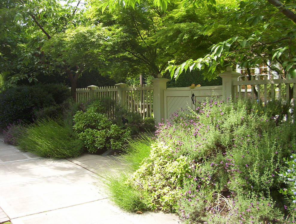 North Capitol Hill Garden - Traditional - Landscape - Seattle - by ...