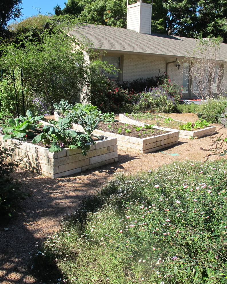 north dallas urban farm - Traditional - Landscape - Richmond - by ...