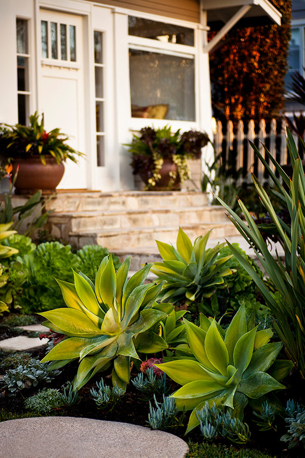 North Laguna Beach - Beach Style - Landscape - Orange County - by ...