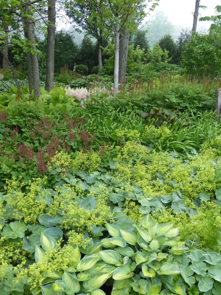 Northbrook Illinois Shade Garden in June - Traditional - Landscape ...