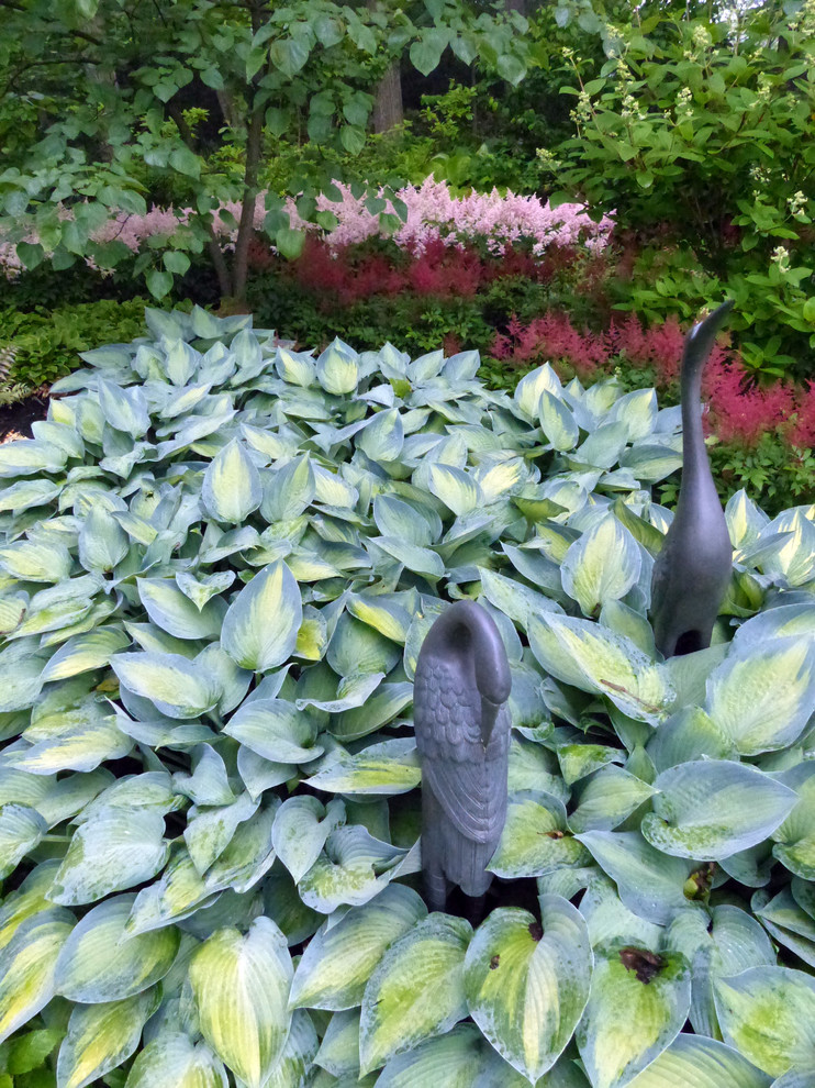 Northbrook Illinois Shade Garden in June - Traditional - Landscape ...