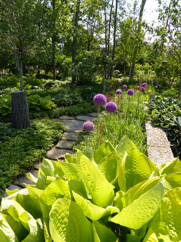 Northbrook Illinois Shade Garden in June - Traditional - Landscape ...