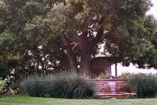 Oak Tree Knoll - Mediterranean - Landscape - San Francisco - by J ...
