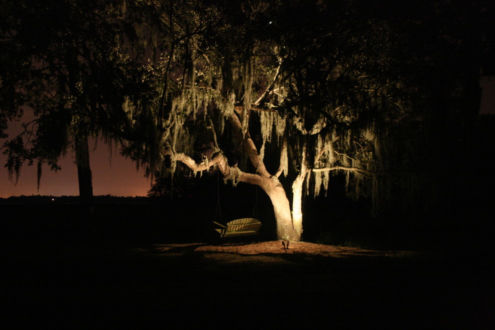 Oak Tree Lighting - Landscape - Charleston - by Moonlighting Landscape ...