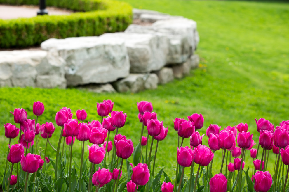 Oakwood Seasonal Planting - Contemporary - Landscape - Atlanta - by ...