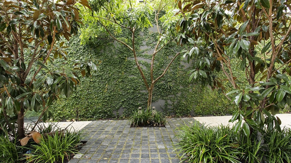 OC Landscape Project - Modern - Landscape - Orange County - by OC WEST ...