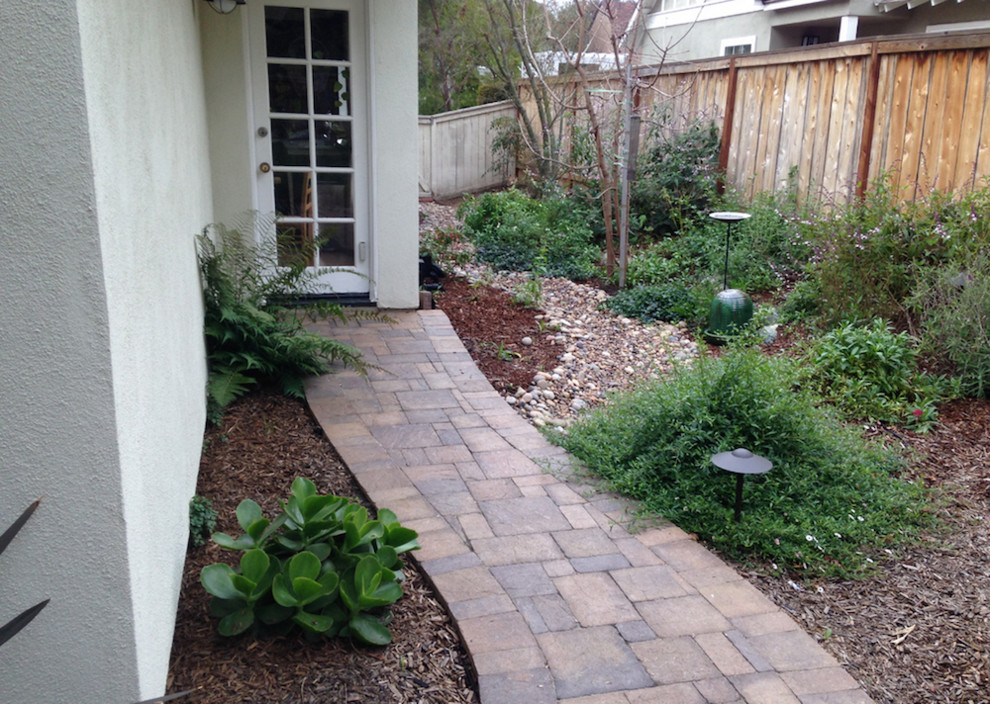 Olander Full Backyard Makeover - Transitional - Landscape - San Diego ...