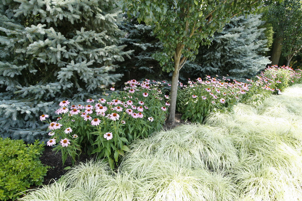 Old Field - Traditional - Landscape - New York - by Goldberg & Rodler ...