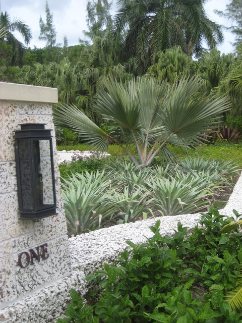 Rustic Florida Landscaping