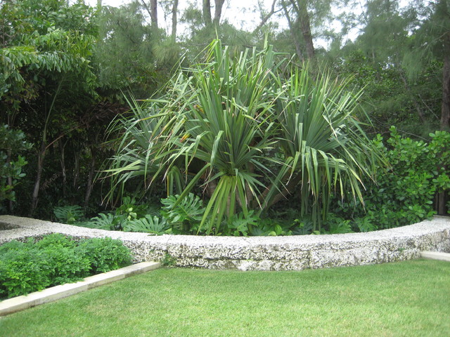 "Old Florida Refined" by Bell-la - Traditional - Garden - Miami - by ...