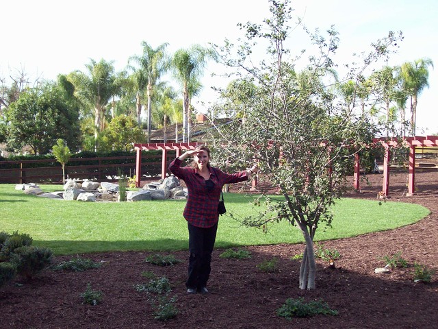 One Acre Landscaping Ideas Landscaping Of A Plot Of 5 Acres: Examples