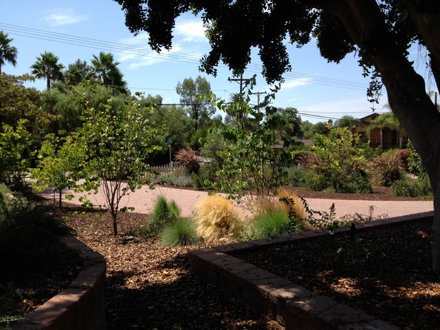 One acre Landscape Design project - Traditional - Garden - San Diego ...