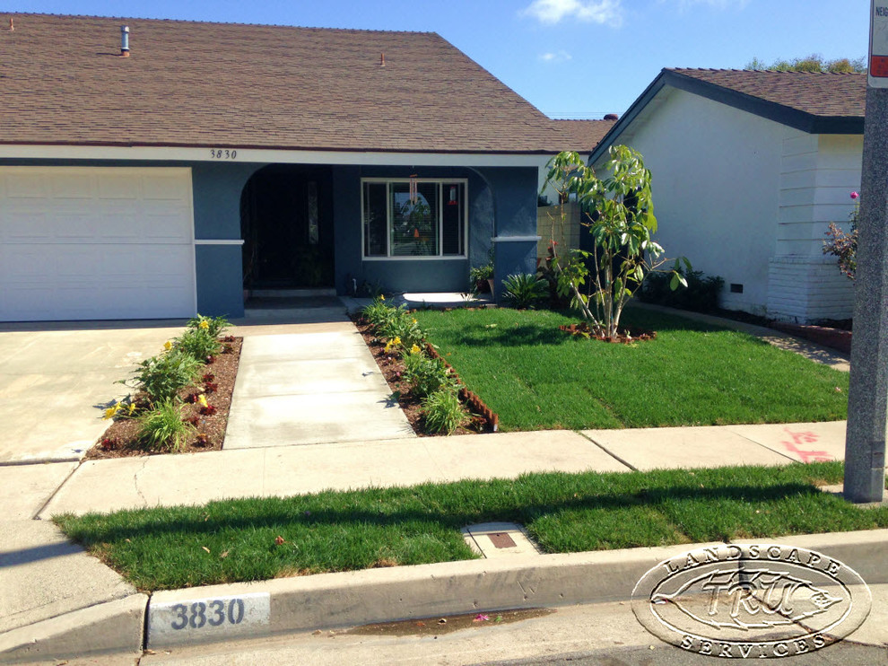 Orange County Landscape - Tropical - Landscape - Orange County - by TRU ...