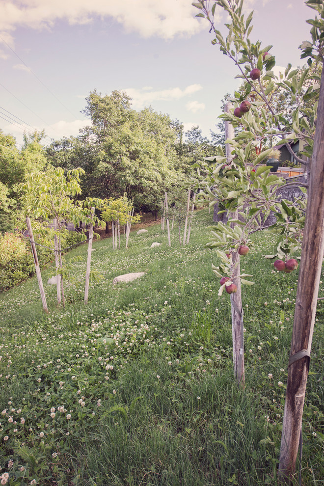 Orchard Trees with Microclover meadow - Modern - Landscape - Other - by ...