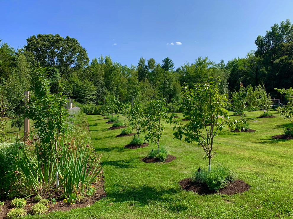 Organic Fruit Orchard - Farmhouse - Landscape - Boston - by HomeHarvest ...