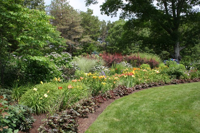 Orleans Garden Perennials Ferns Ground Covers - Traditional - Garden ...