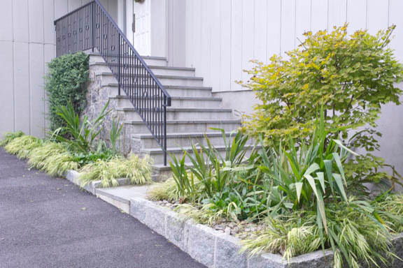 Ornamental Grass Garden - Traditional - Landscape - New York - by ...