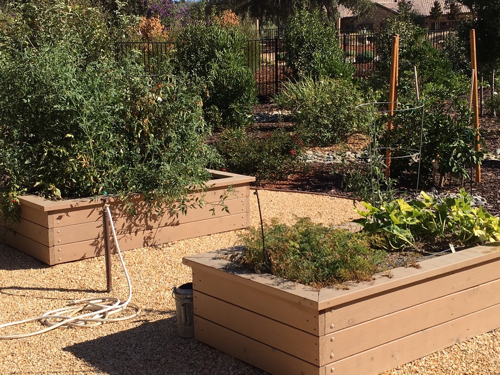 Our Portfolio - Traditional - Landscape - Sacramento - by Environmental ...