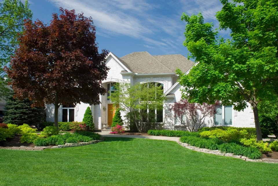 Our Work - Contemporary - Landscape - Philadelphia - by All Seasons ...