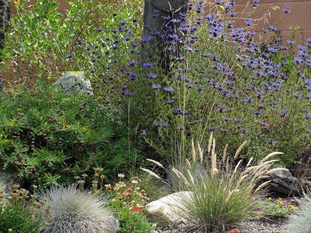 Our Work - Traditional - Landscape - Orange County - by California ...