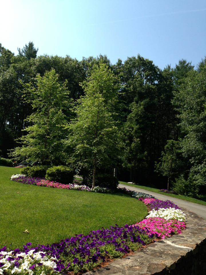 Our Work - Transitional - Landscape - Boston - by Montenegro Landscape | Houzz