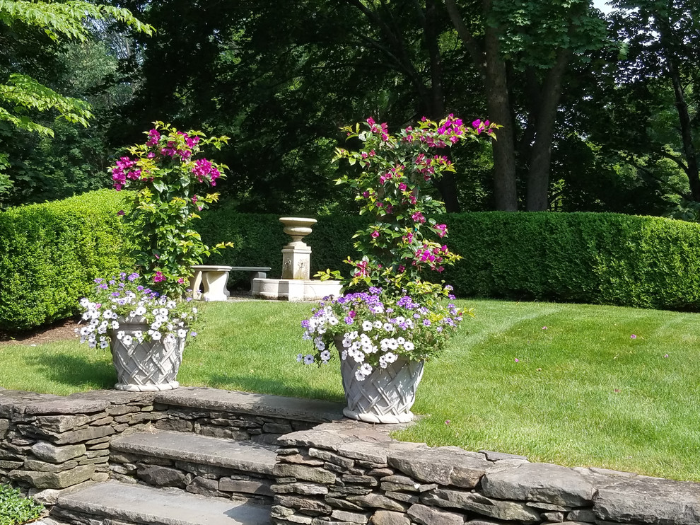 Outdoor Container Plantings & Finishes - Transitional - Landscape - New ...