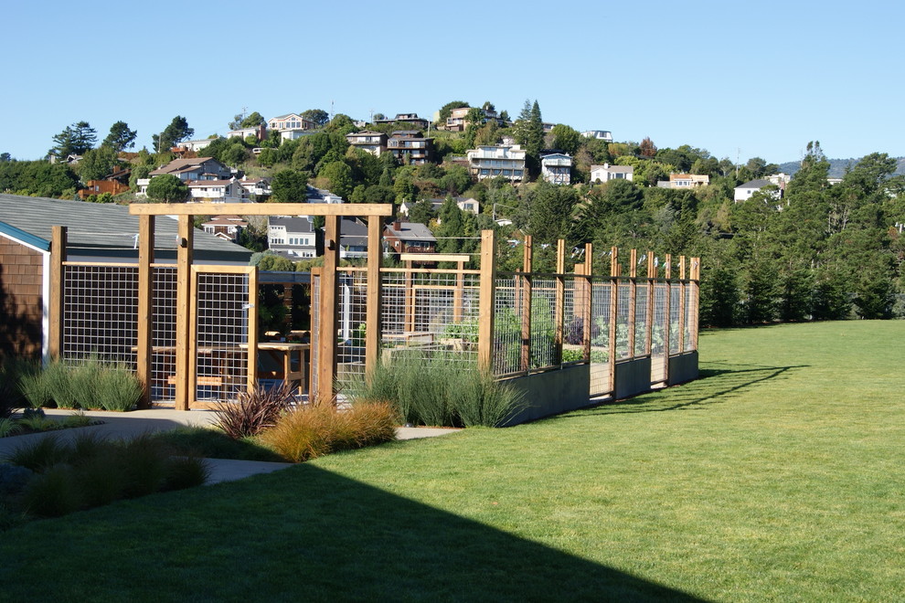 Outdoor Learning Center - Contemporary - Landscape - San Francisco - by ...