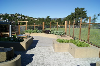 Outdoor Learning Center - Contemporary - Landscape - San Francisco - by ...