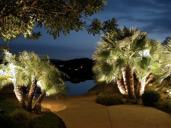Outdoor Lighting Concepts - Tropical - Landscape - Austin - by Austin ...