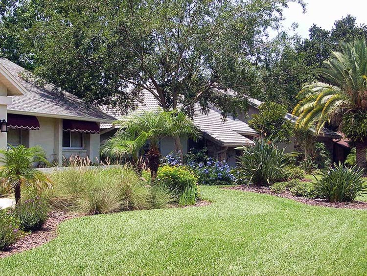 Outdoor Oasis in Tampa Palms - Tropical - Landscape - Tampa - by Tampa ...