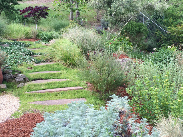 Pacifica California Native Landscape - Transitional - Landscape - San ...