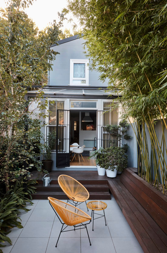 Paddington courtyard - Contemporary - Landscape - Sydney - by Think ...