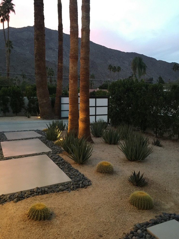 palm springs mid-century remodel - Midcentury - Landscape - Los Angeles ...