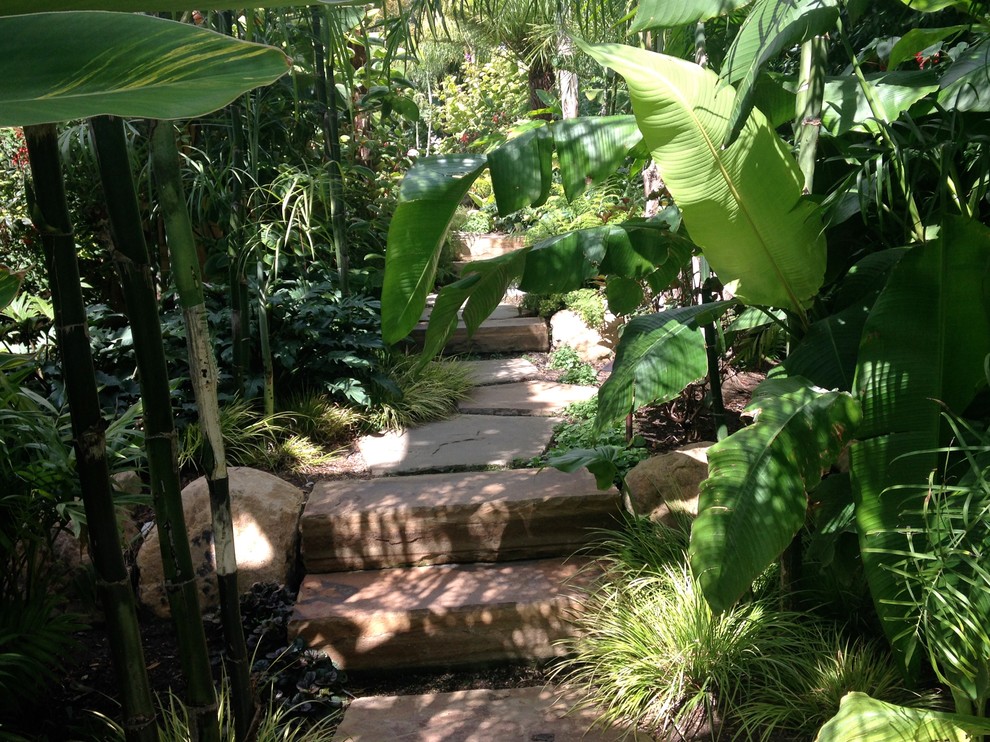 Paradise in Santa Barbara - Tropical - Landscape - Santa Barbara - by ...