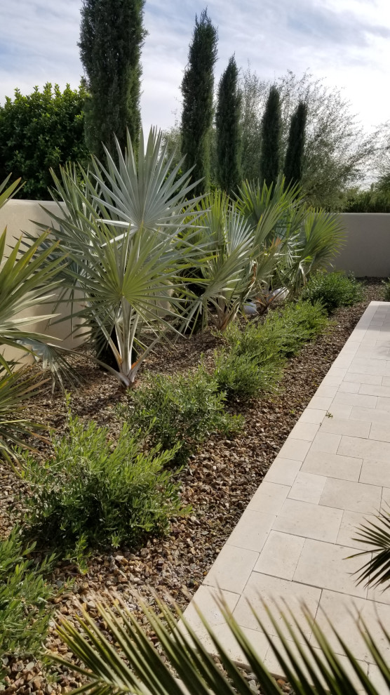 Paradise Valley VII - Landscape - Phoenix - by Merit Landworks | Houzz