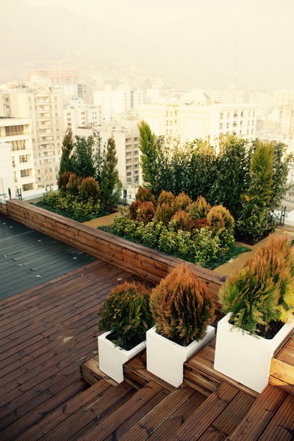 Park Royal Building Roof Garden - Modern - Garden - Other - by ...