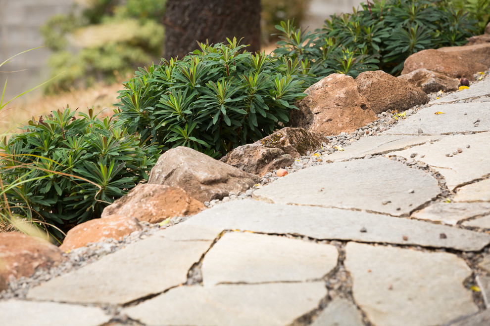 Pathway Border - Modern - Landscape - Other - by Regenesis Ecological ...